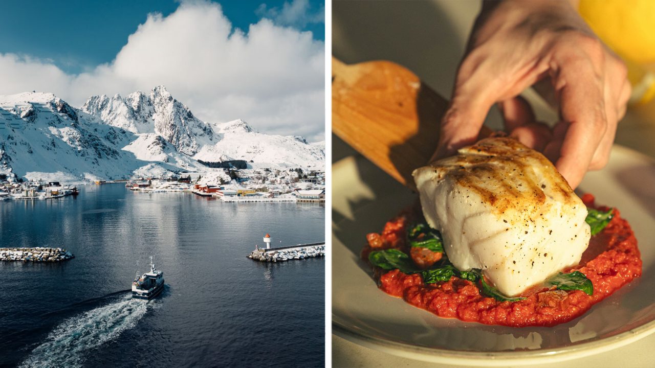 ANNONS: Det vita guldets ankomst – recept på skrei med chorizo och ...