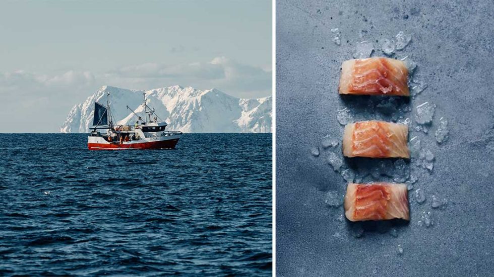 ANNONS: Smart vardagsmat – så lagar du sej på asiatiskt vis | Seafood ...